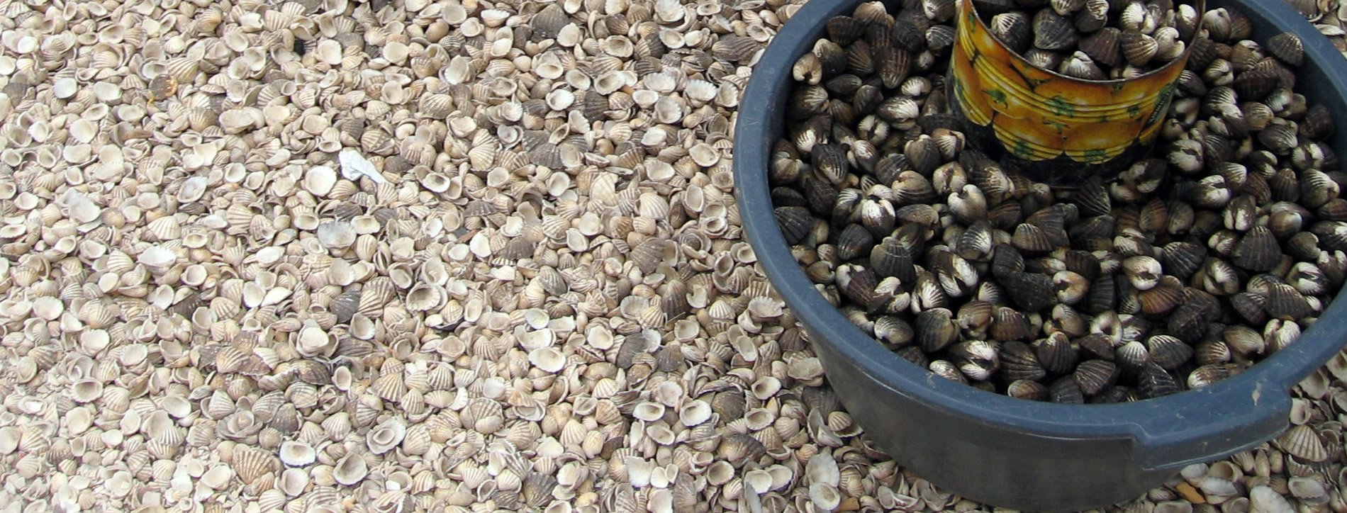 The island made of shells: Joal-Fadiouth - Senegal
